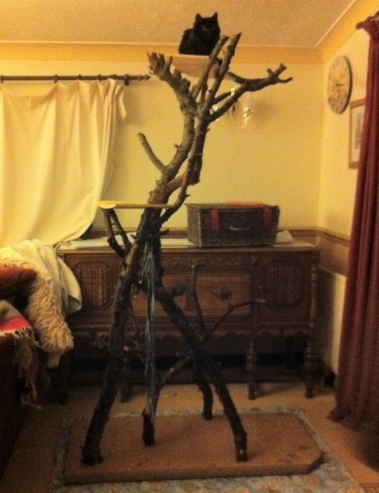 How To Make A Cat Tree Cats Swinny